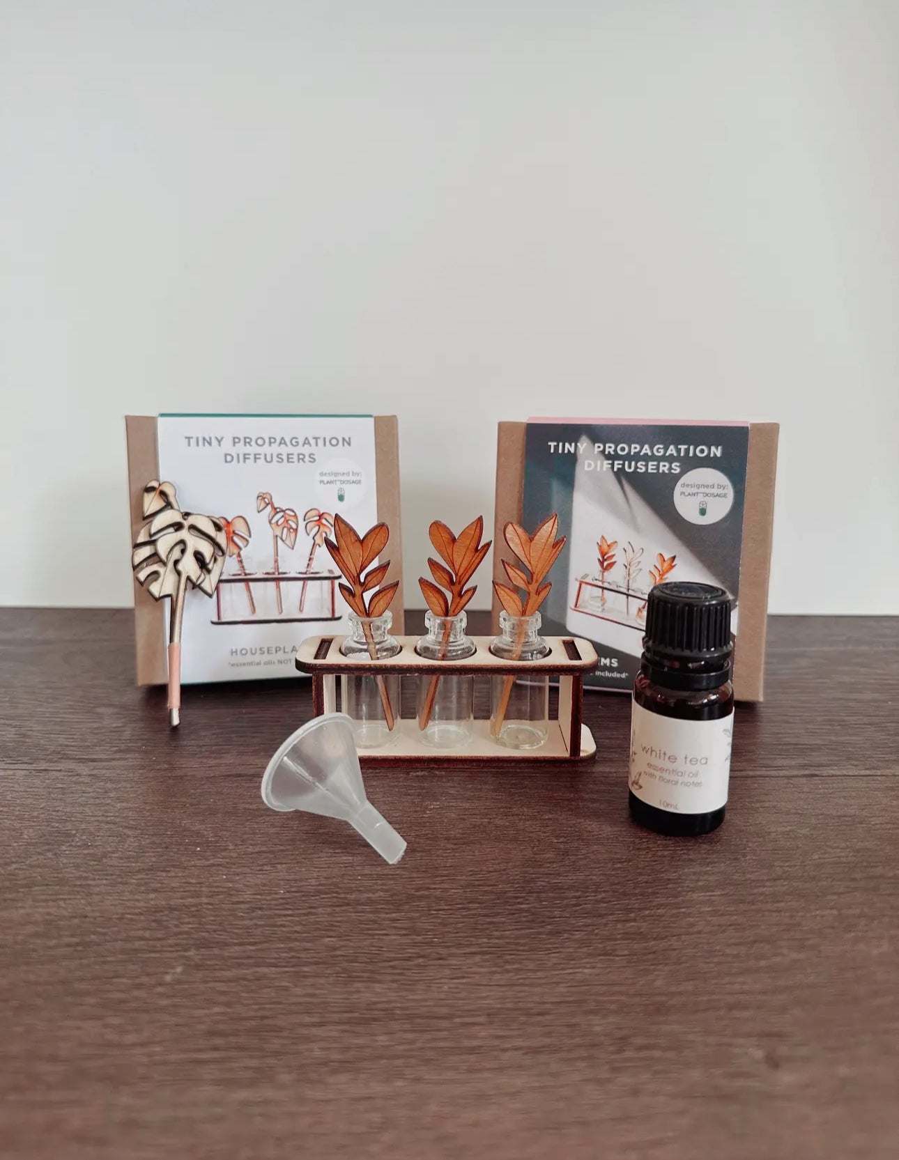 Diffuser Set – Blossom + Branch Houseplants